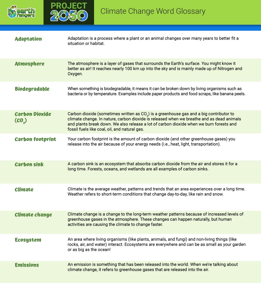 Environmental Concepts for Educators | Earth Rangers Homeroom