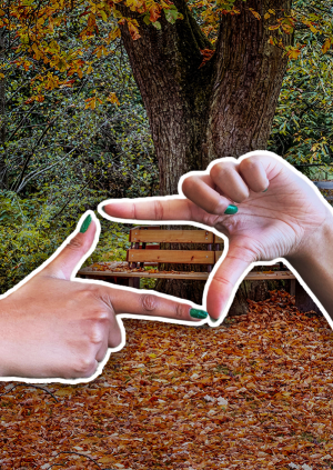 The Magic Camera | Earth Rangers Homeroom